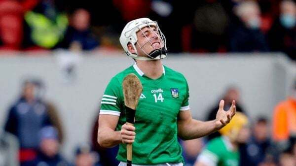 Limerick hurler Pat Ryan wins appeal over perjury conviction - Homepage ...