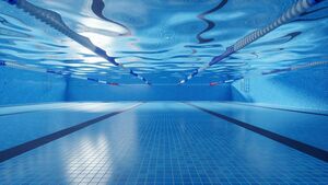Roofed and heated swimming pool proposed for County Roscommon town ...