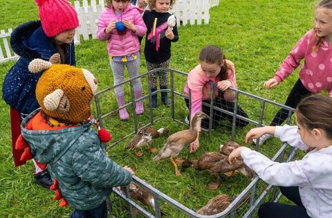 Boyle Summer Show 2024 promises fun for all - What's on - Roscommon Herald