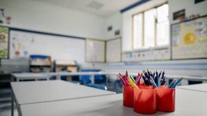 SNA Appreciation Day takes place across County Roscommon - News ...