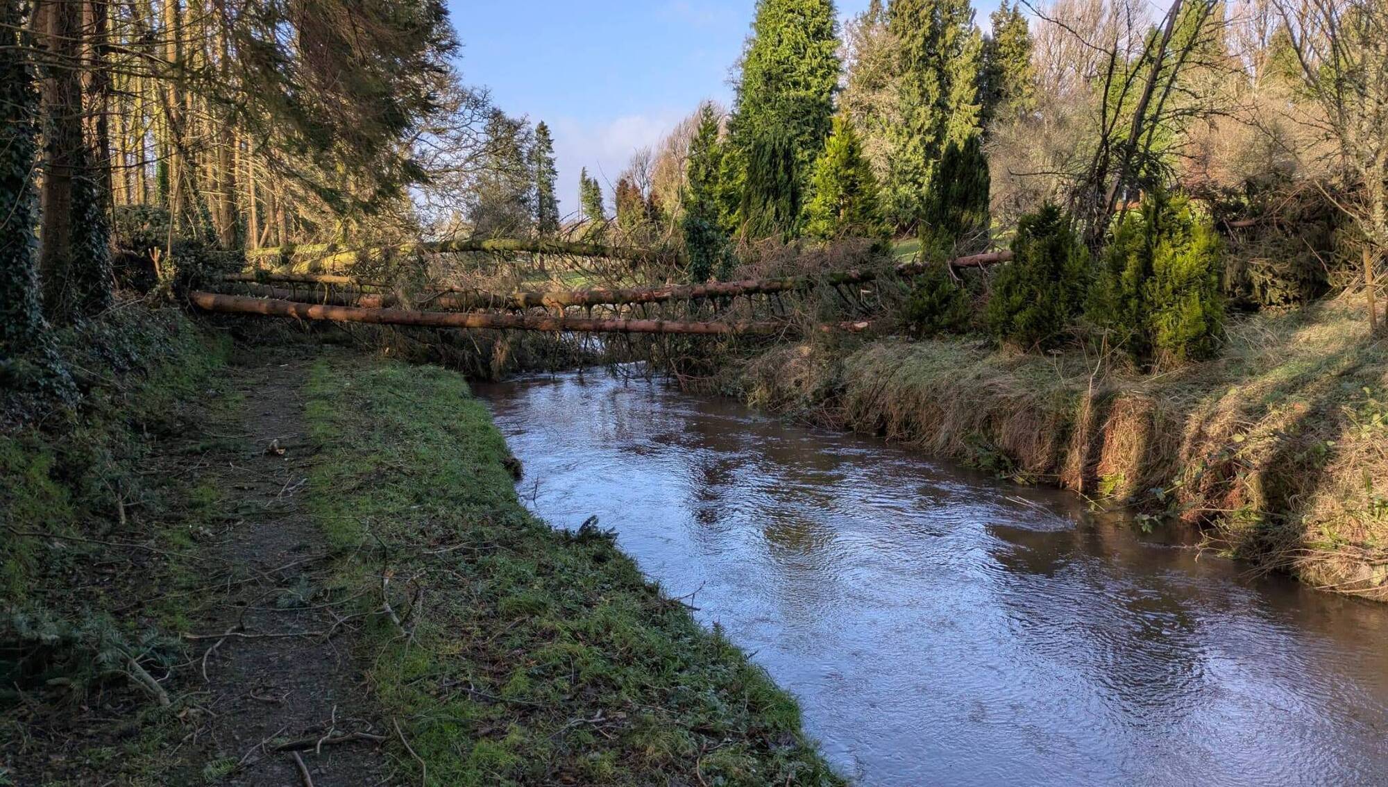 Castlerea Towns Trust ‘devastated’ to witness damage to town’s Demesne ...