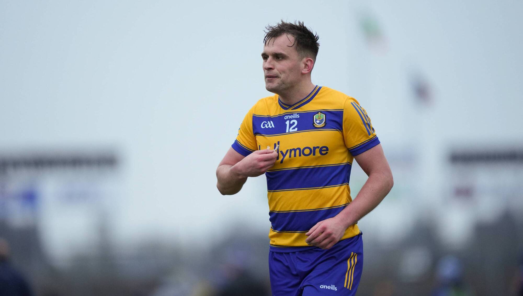 Doyle's goal pivotal as Rossies keep late Louth comeback at bay - GAA ...