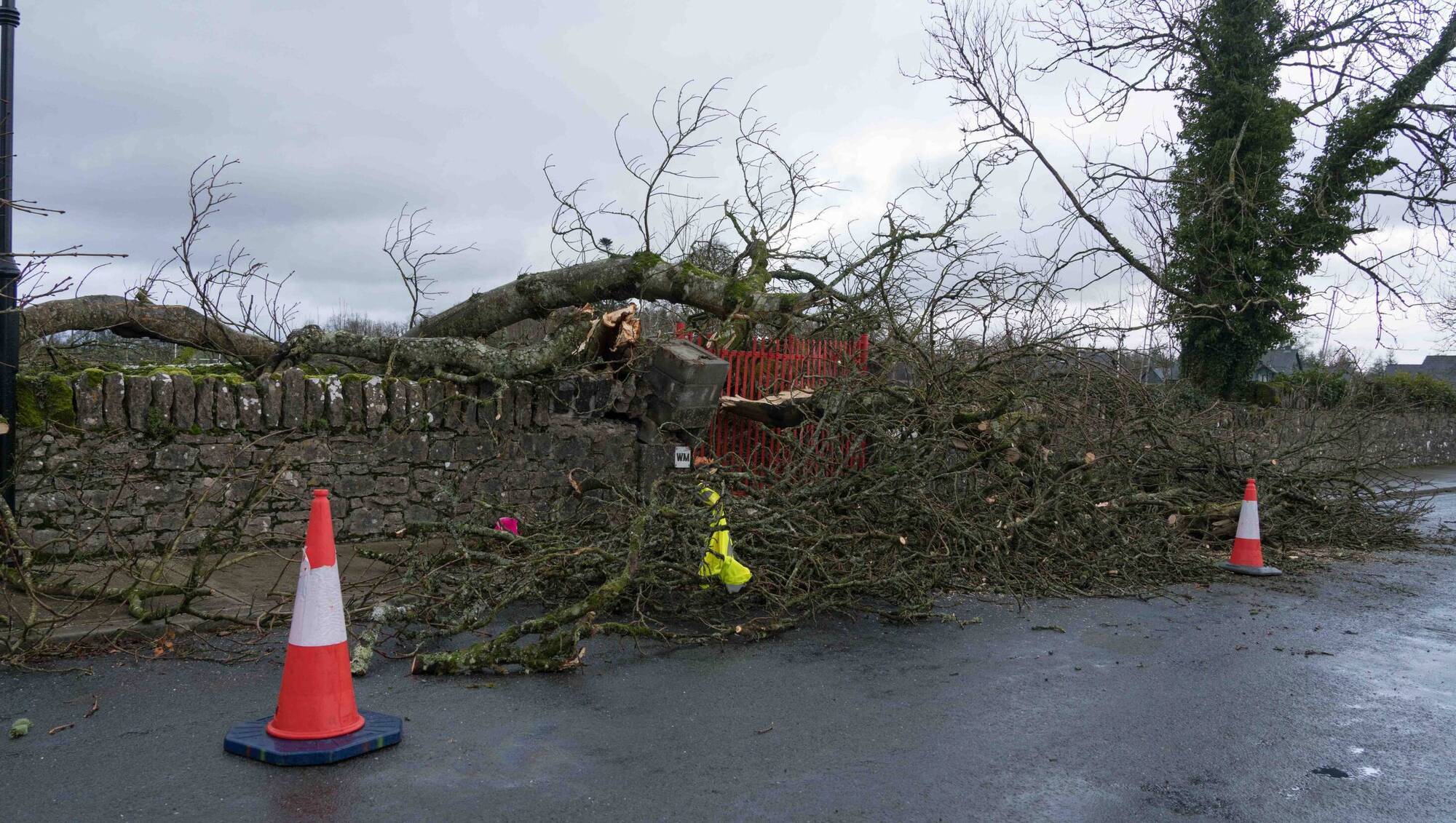 Storm Éowyn aftermath: ‘This could have been a hell of a lot worse ...