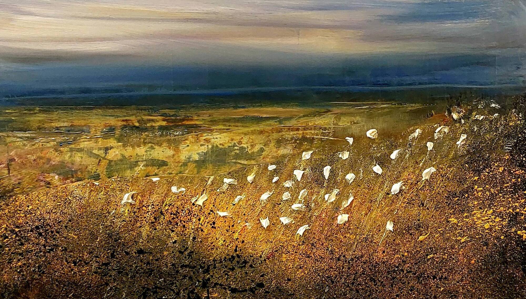 New collection of bog paintings by Cootehall artist on display - What's ...