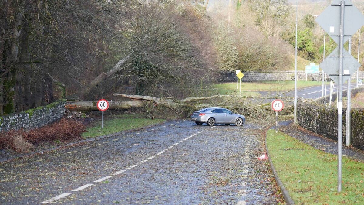 Clarity needed for councils on storm damage costs - News - Roscommon Herald